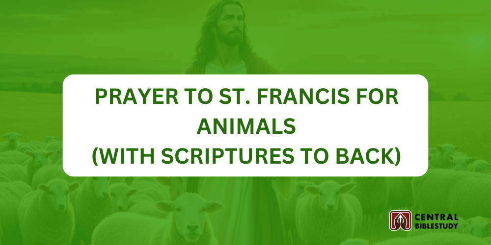 30 Prayer To St. Francis For Animals With Scriptures to Back